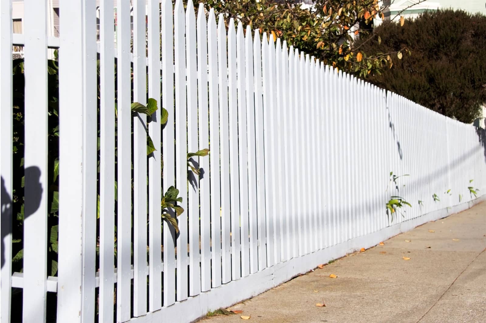 Picket Fencing Melbourne - Get A Free Quote Today